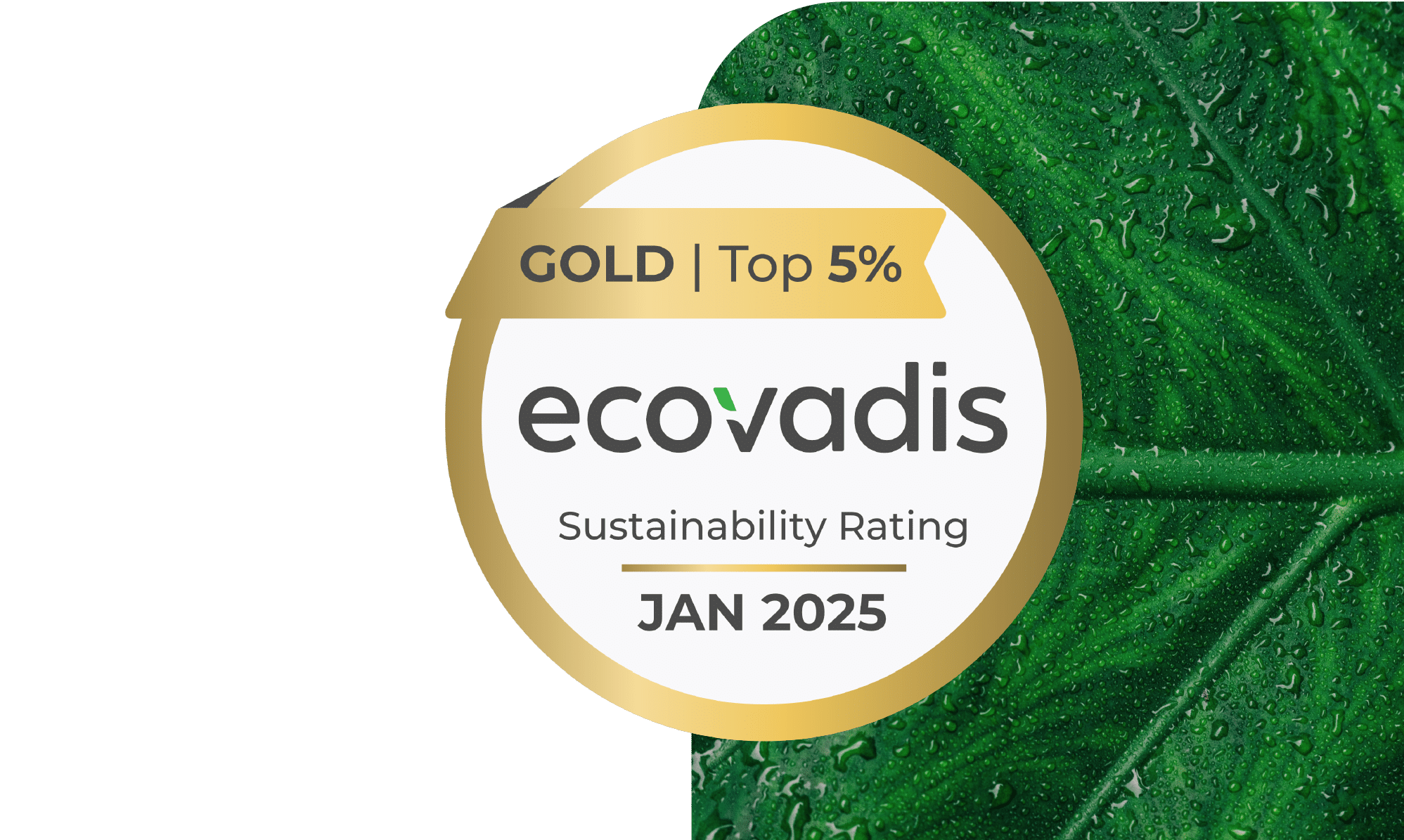 Cabka: specialist in plastic pallets and large containers - Cabka