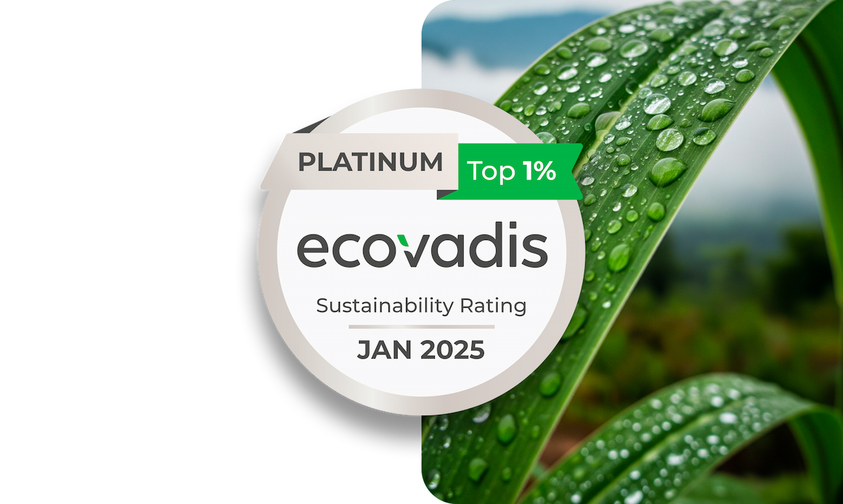 Cabka: specialist in plastic pallets and large containers - Cabka