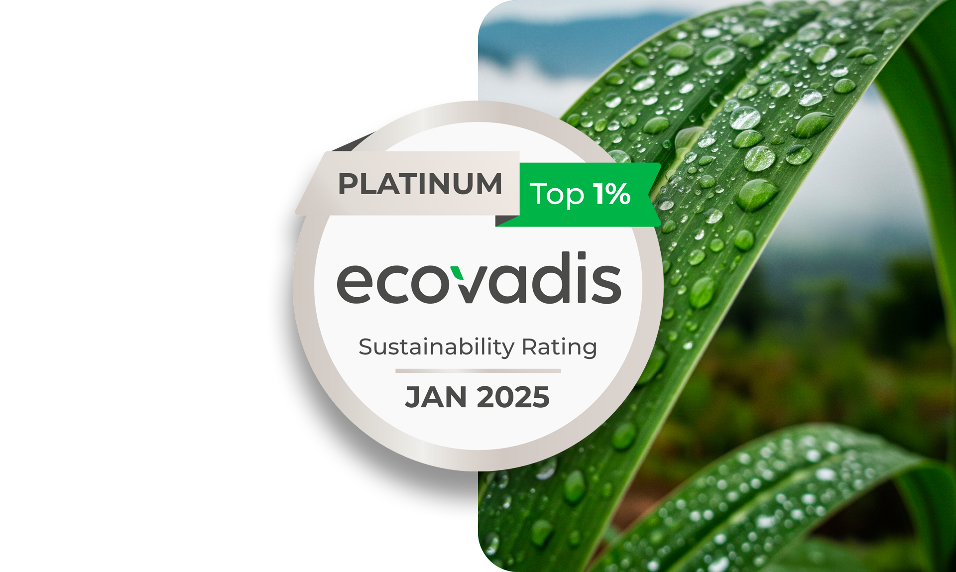 Cabka: specialist in plastic pallets and large containers - Cabka